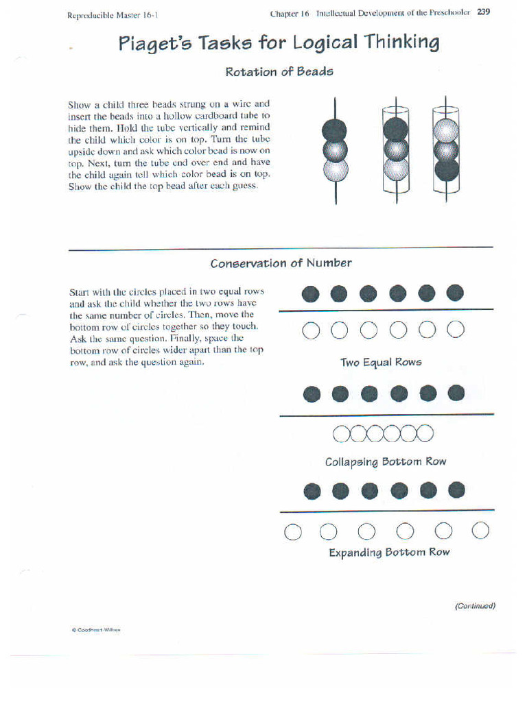 PiagetsTasks Activity | PDF