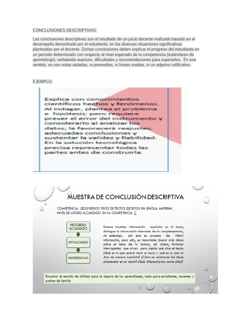 Conclusiones Descriptivas | PDF