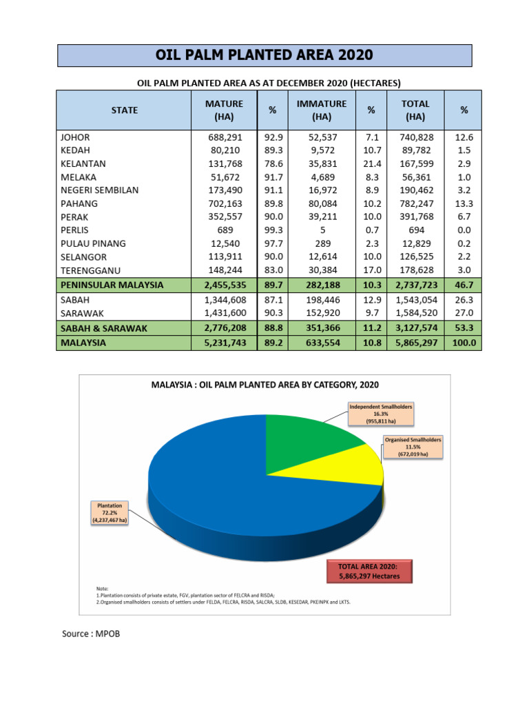 Area Summary | PDF