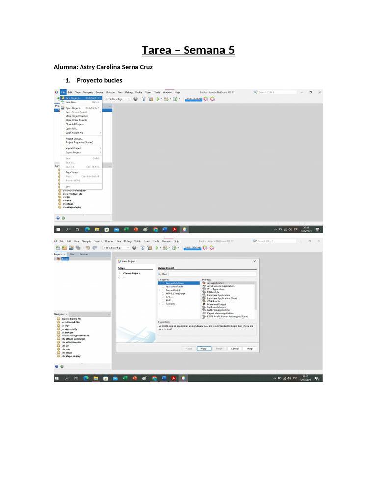 Tarea Semana 5 Java | PDF