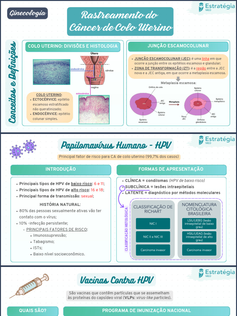 Mapa Mental - Rastreamento Do Câncer de Colo Uterino | PDF | Câncer cervical | Triagem (Medicina)