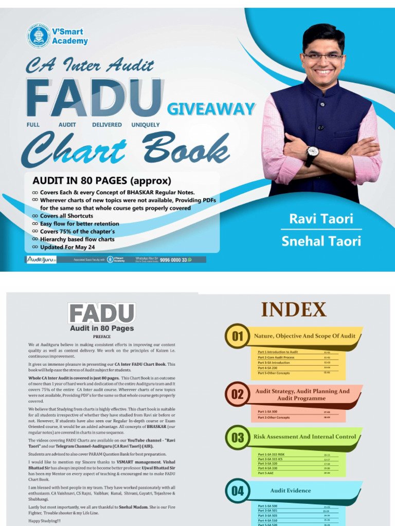 Audit Chart Book Ravi Taori | PDF