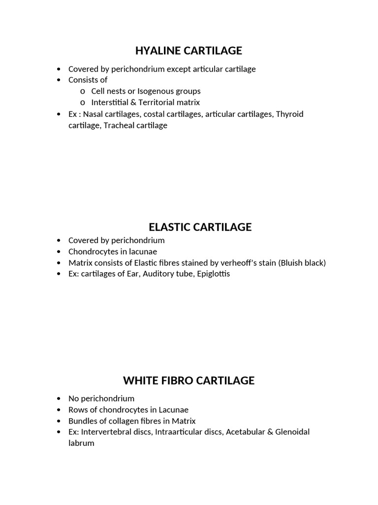 Histology Laminated Cards | PDF | Lymph Node | Epithelium
