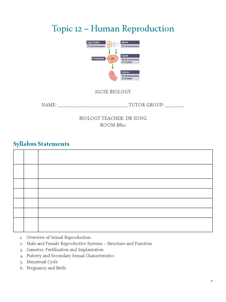 Human Reproduction Overview IGCSE Biology | PDF | Menstrual Cycle ...