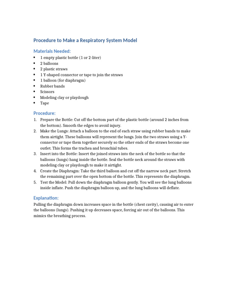 Respiratory System Model Procedure | PDF
