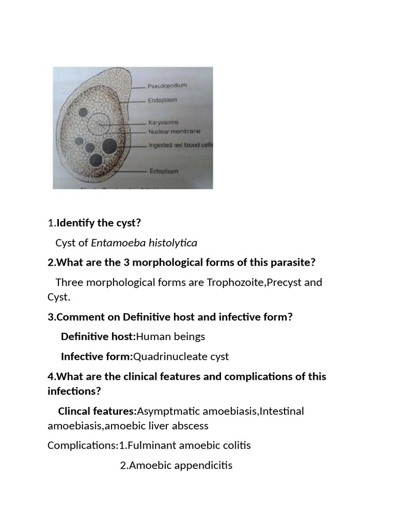 Entamoeba Histolytica | PDF