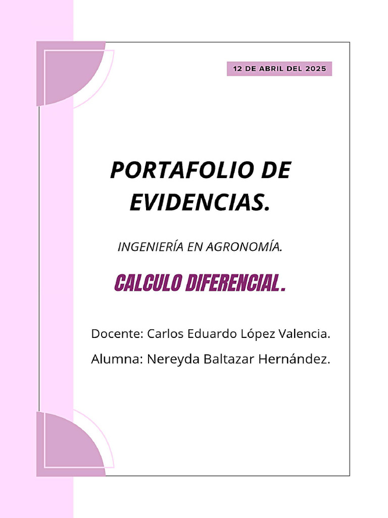 PORTAFOLIO DE EVIDENCIAS | PDF