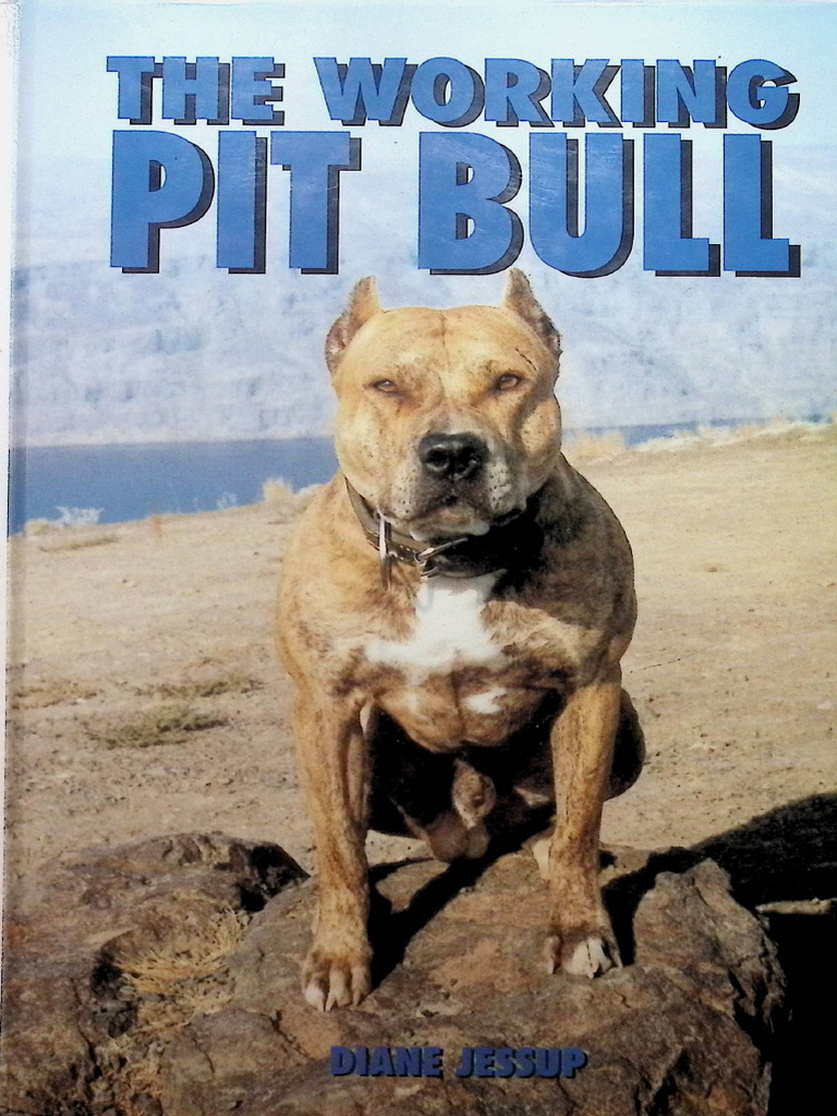 Understanding the Working Pit Bull | PDF | Pit Bull | Dog Breeds