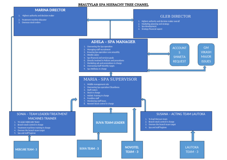 Beauty Spa Hierachy Tree Chanel | PDF