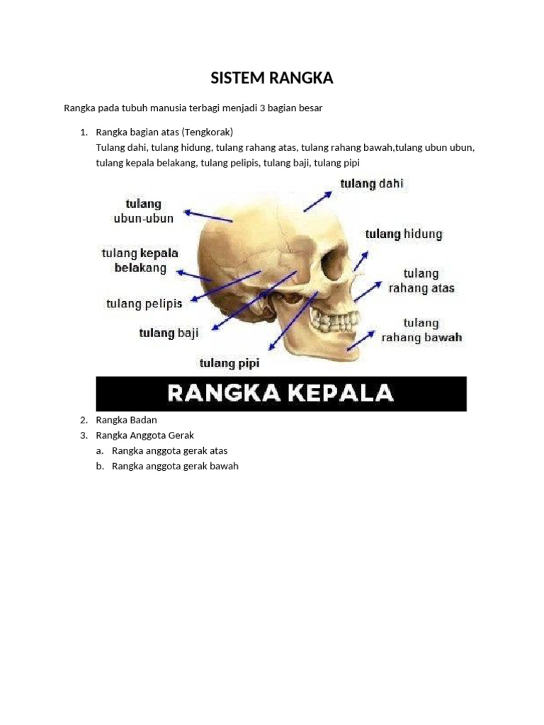 Sistem Rangka | PDF