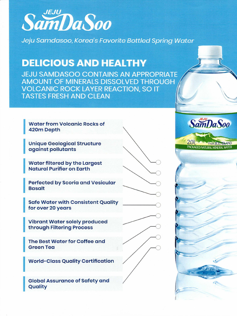 SamDaSoo Brochure | PDF