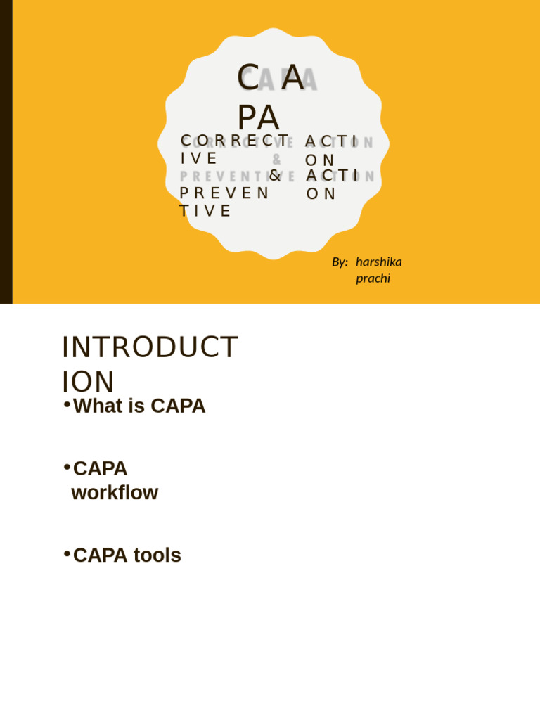 Corrective Preventive Action | PDF | Systems Thinking | Quality