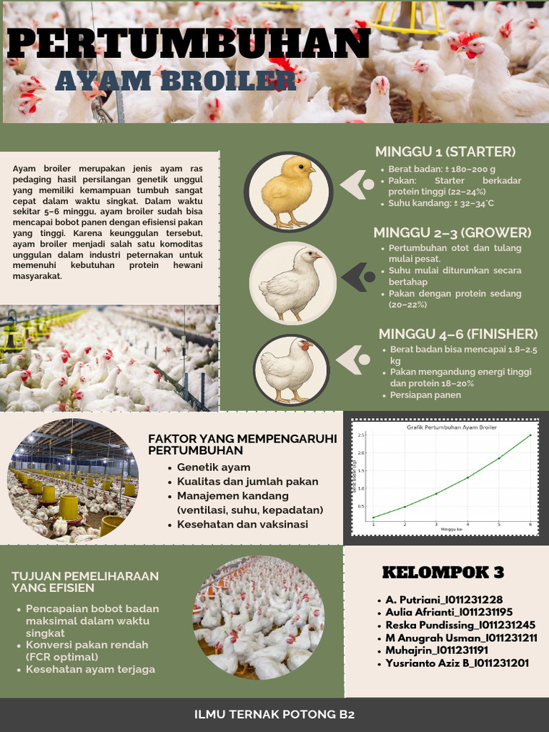Poster Kelompok 3 - Ilmu Ternak Potong | PDF