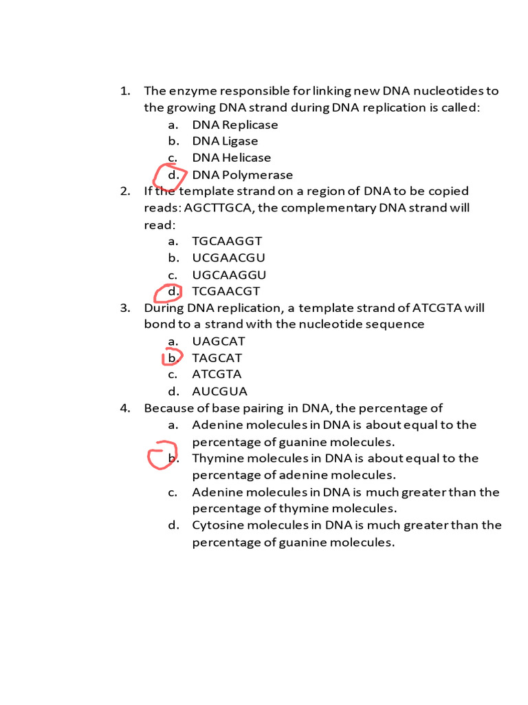 Unit 6 DNA and DNA Replication MCQ Key | PDF | Dna | Dna Replication