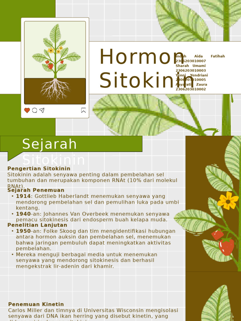 sitokinin-biologi perkembengan tumbuhan | PDF