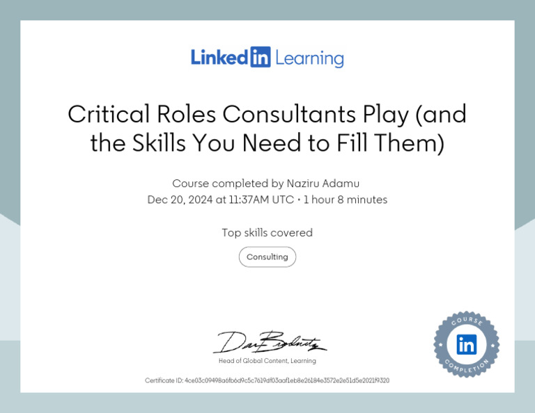 Critical Roles for Consultants Course | PDF