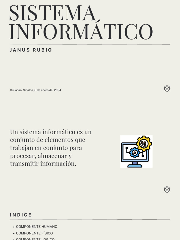 Sistema Informático PDF | PDF