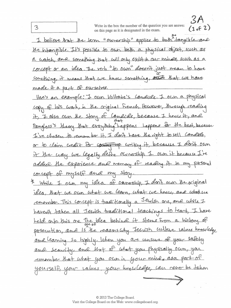 3A Essay Response (Ownership) | PDF