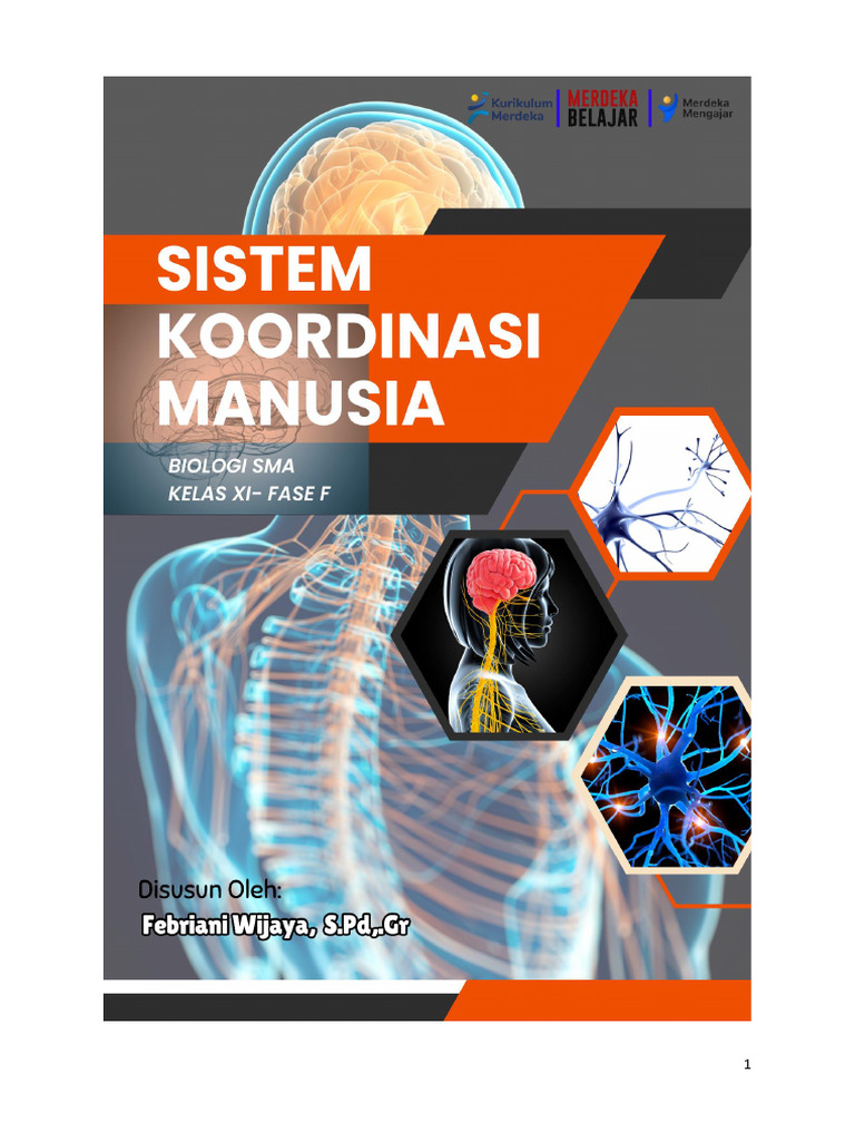 Diagram dan Analisis Sistem Saraf Manusia | PDF