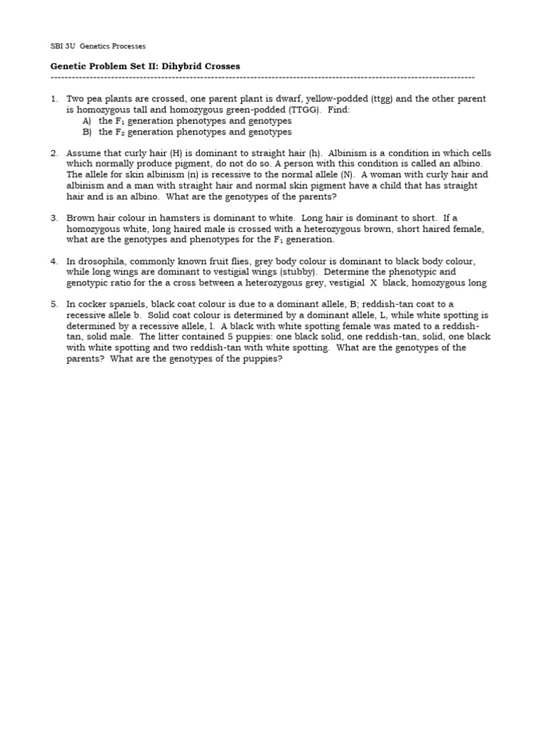 Genetic Problem Set II - Dihybrid Crosses | PDF