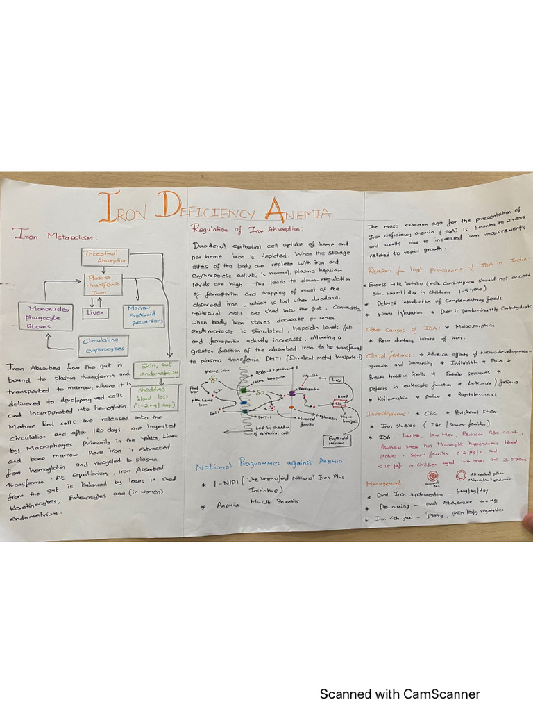 Concept Map Paediatrics | PDF