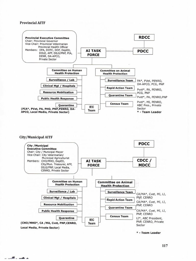 Organizational Structure of LGU AI Task Forces | PDF