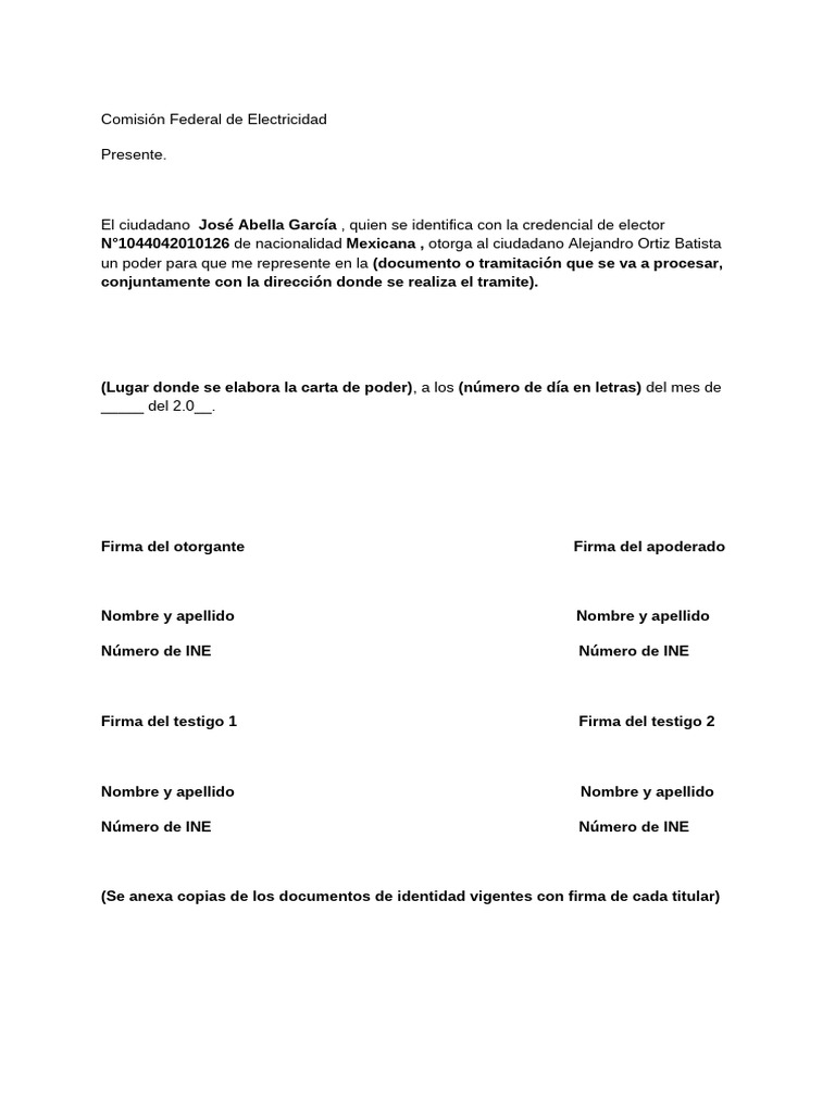 Carta Poder Sencilla | PDF