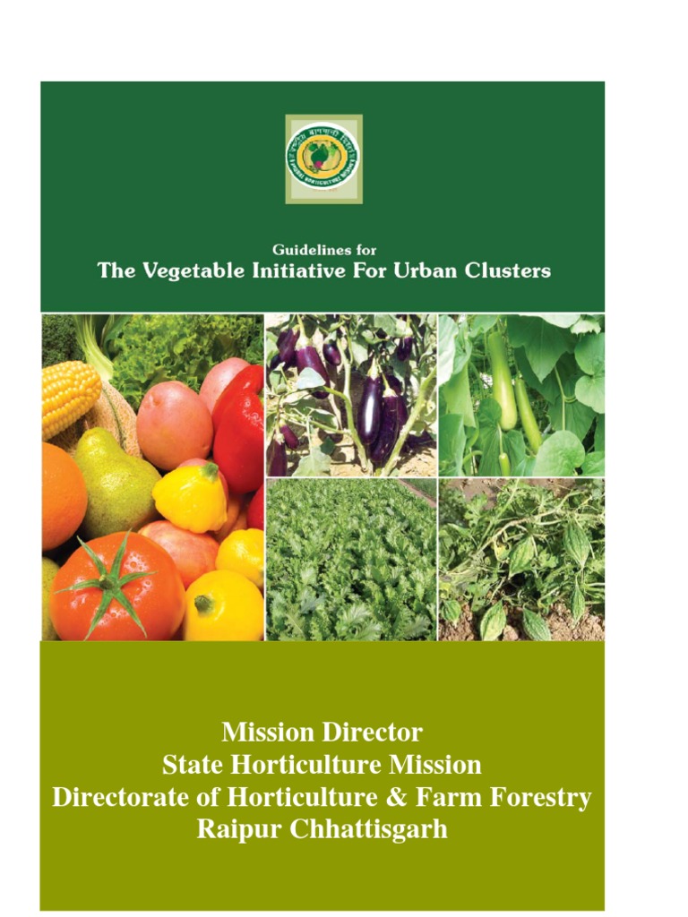 Urban Vegetable Initiative Overview | PDF | Vegetables | Strategic ...