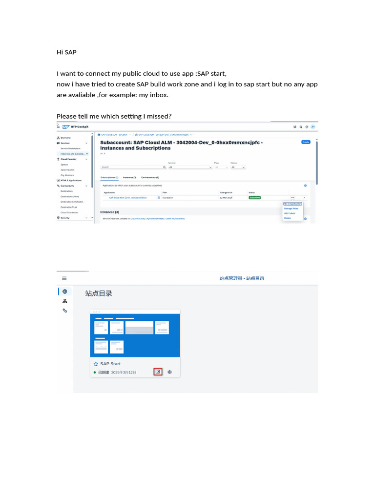 SAP Start App Connection Issues | PDF