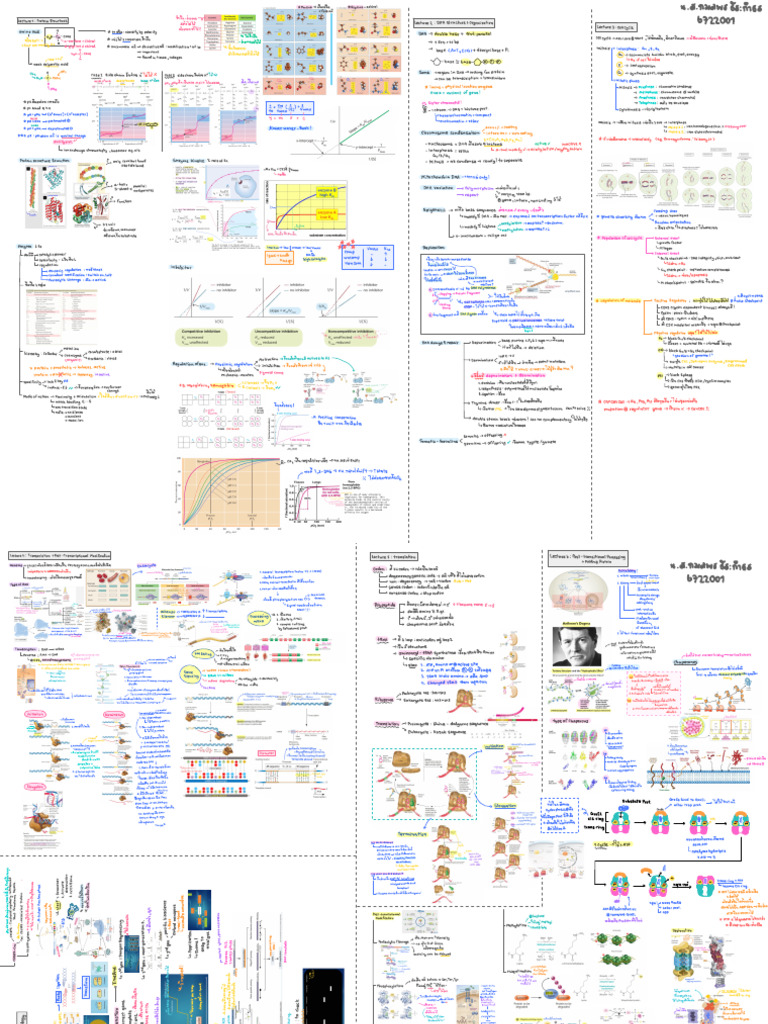 นางสาวกมลพร ธีระกำธร Assignment1 L1-L7 RAID135 | PDF