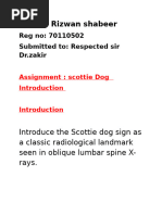 Applied Radioanatomy of Scottie Dog Sign | PDF | Vertebra | Skeletal System