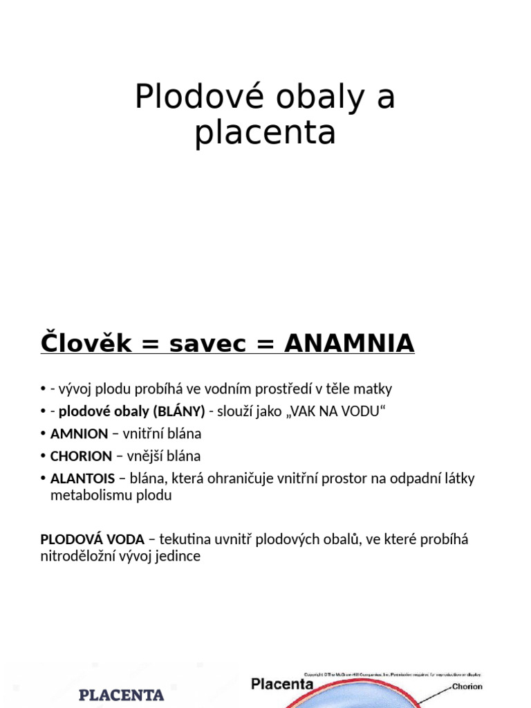 Plodove Obaly Aplacenta | PDF