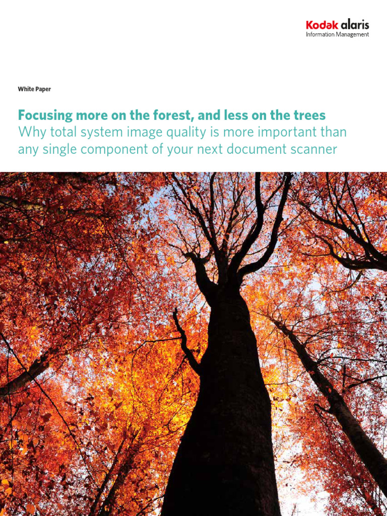 6_29_CIS CCD White paper | PDF | Image Scanner | Charge Coupled Device