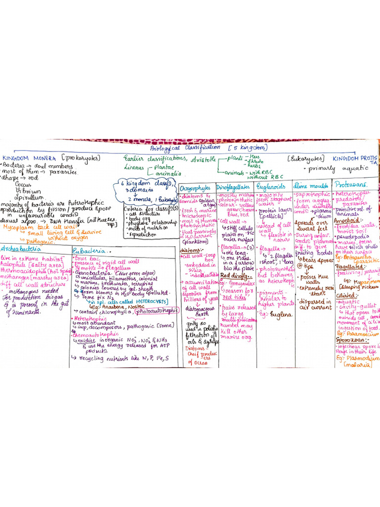 Bio Classification Pdf