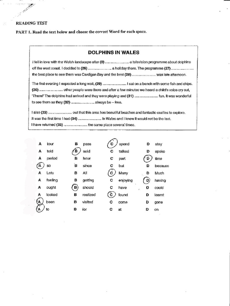 Reading1 Key | PDF