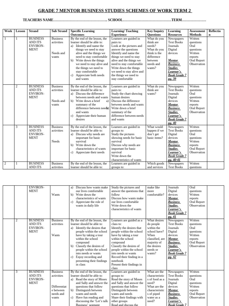 Business Grade 7 Scheme Term2 | PDF | Mentorship | Learning