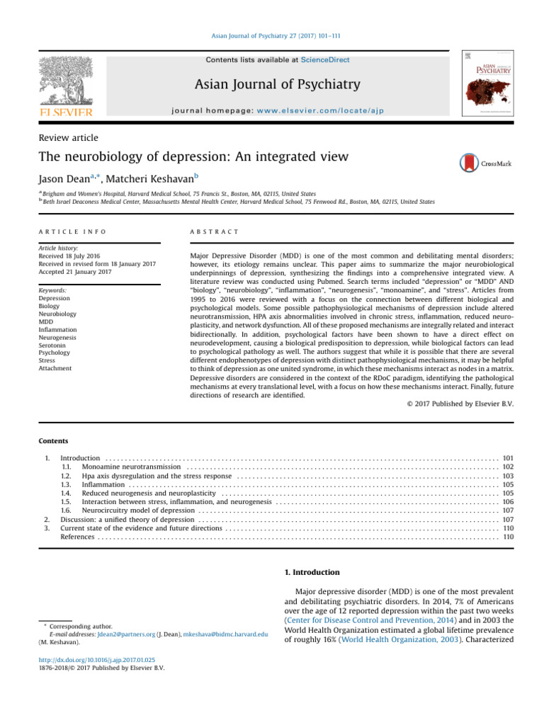 The Neurobiology of Depression | PDF | Major Depressive Disorder | Serotonin