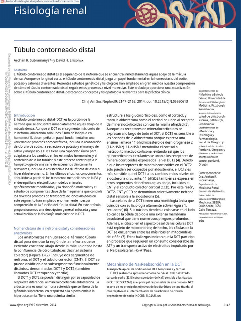 Distal_Convoluted_Tubule.20.en.es | PDF | Biología Celular