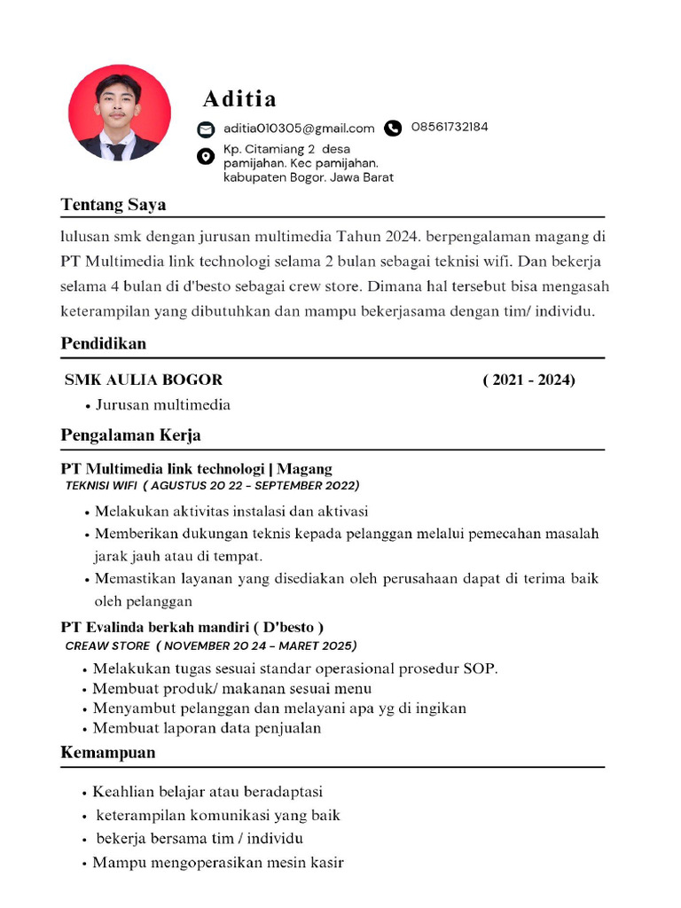 CV Aditia | PDF