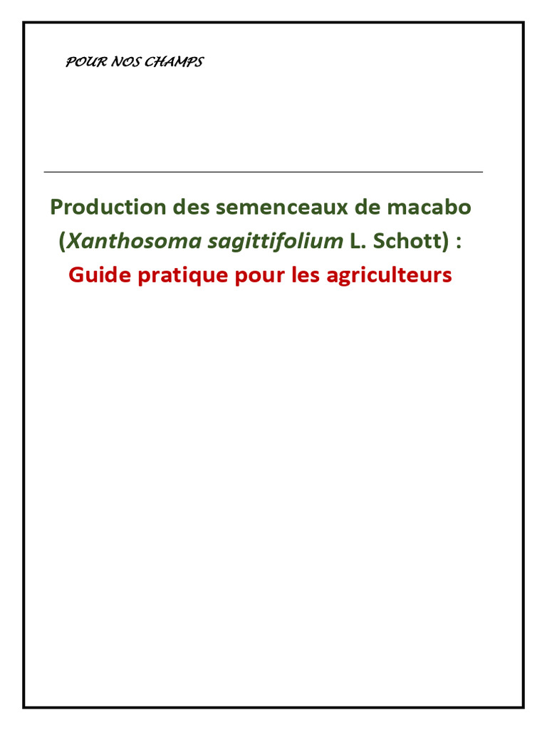 Production de semenceaux de macabo | PDF | Botanique | Plantes
