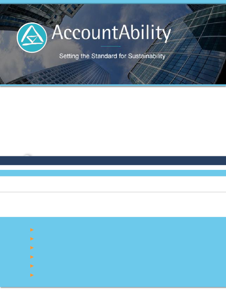 Accountability Principles - IFC | PDF | Sustainability | Sweden