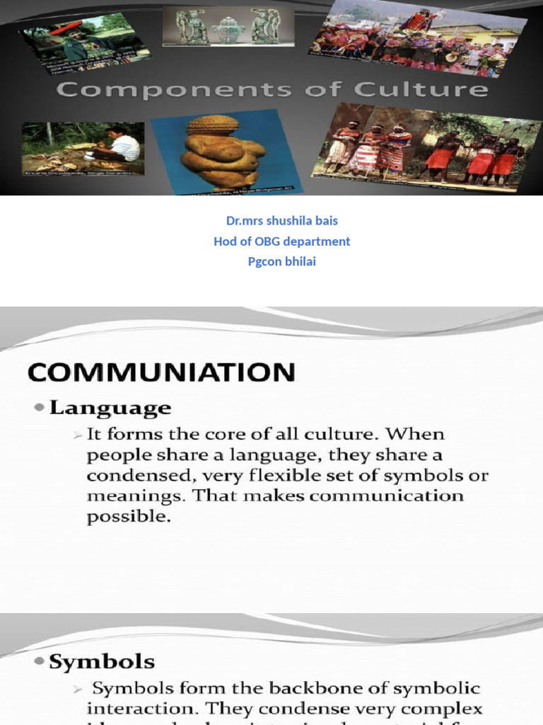 Components of Culture | PDF