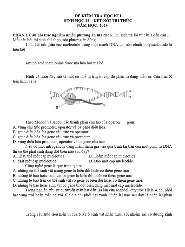 De 1 Ghk1 Sinh 12 KNTT - Hs | PDF