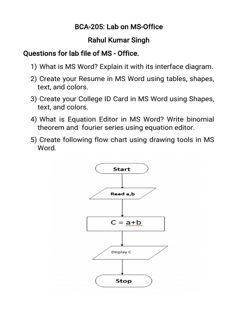 Lab On MS Office Questions For Lab File | PDF