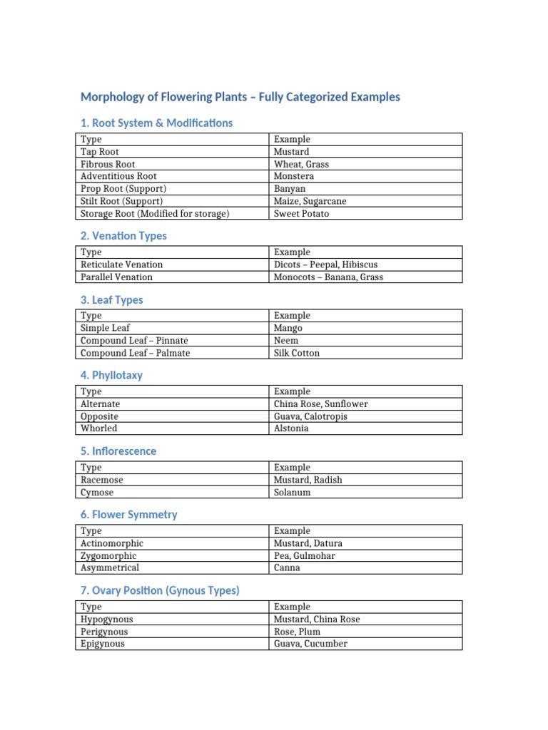 Morphology Chapter Examples Categorized | PDF | Leaf | Fruit