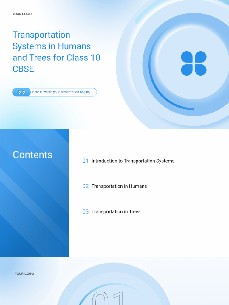Transportation Systems in Humans and Trees For Class 10 CBSE | PDF