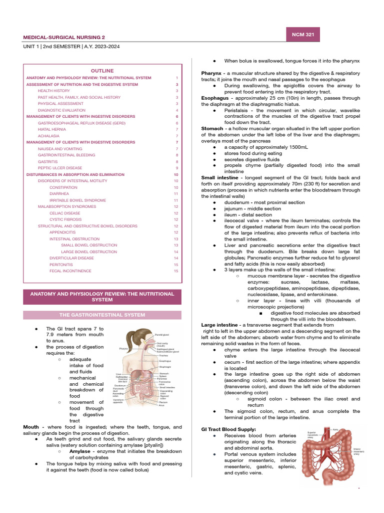 Gastrointestinal System-Med Surg Nursing | PDF | Human Digestive System ...