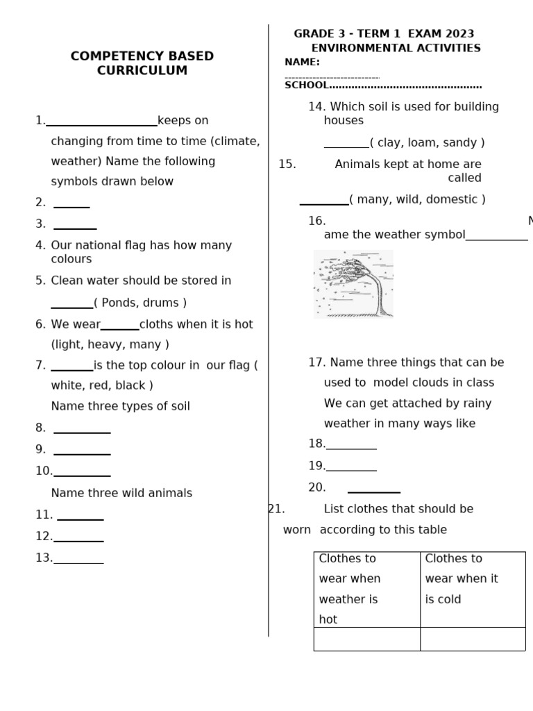 Environmental 1 | PDF