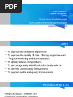 WHO Labour Care Guide | PDF | Childbirth | Human Pregnancy