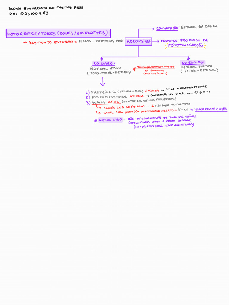 Atividade 7 BMF | PDF